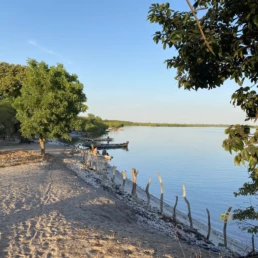 Ontdek Toubacouta, Senegal - Toubacouta Lodges